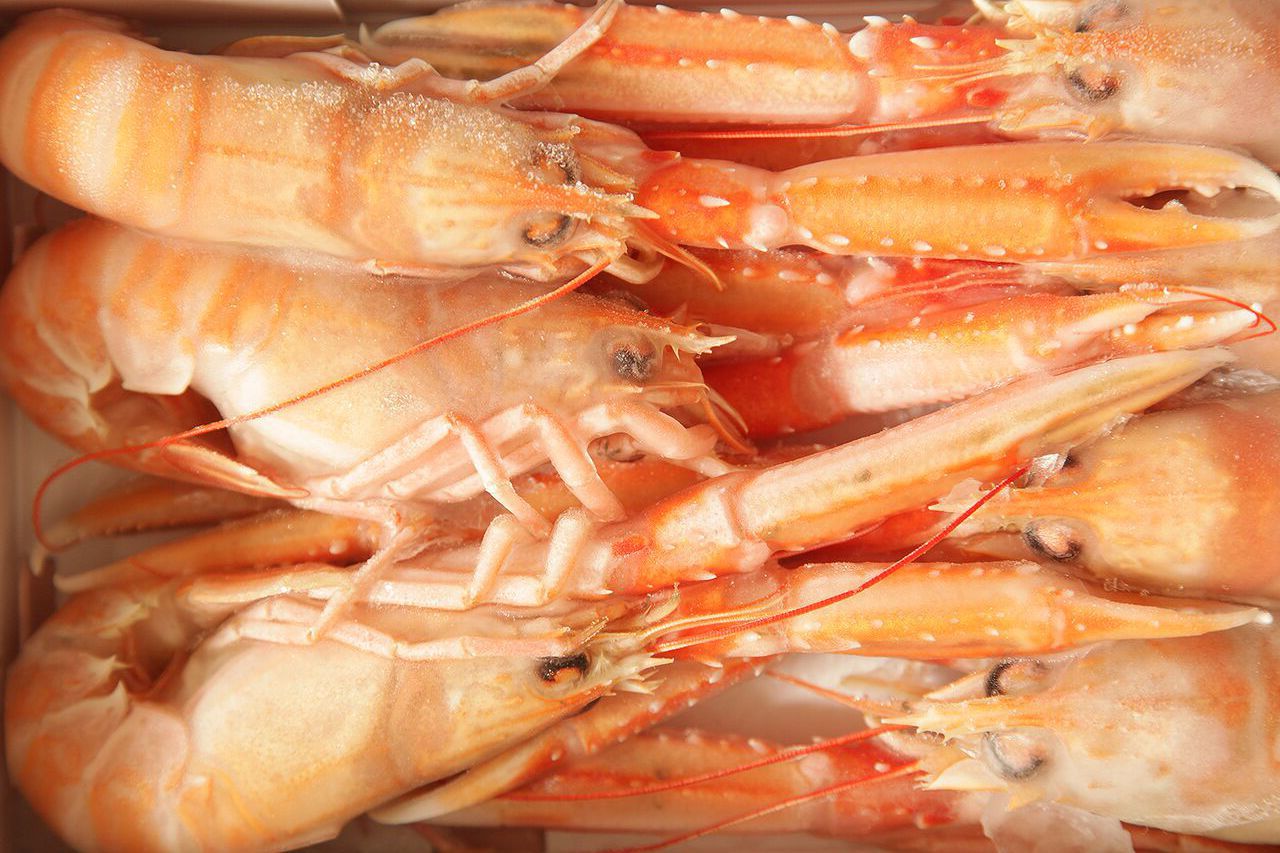 Produits de la mer - Sico Food Trading